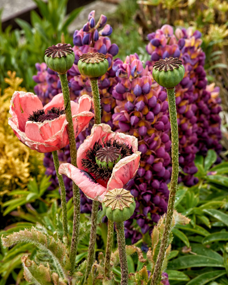 Sunday (22-December-2024) — New Jersey - David Mathre Photography