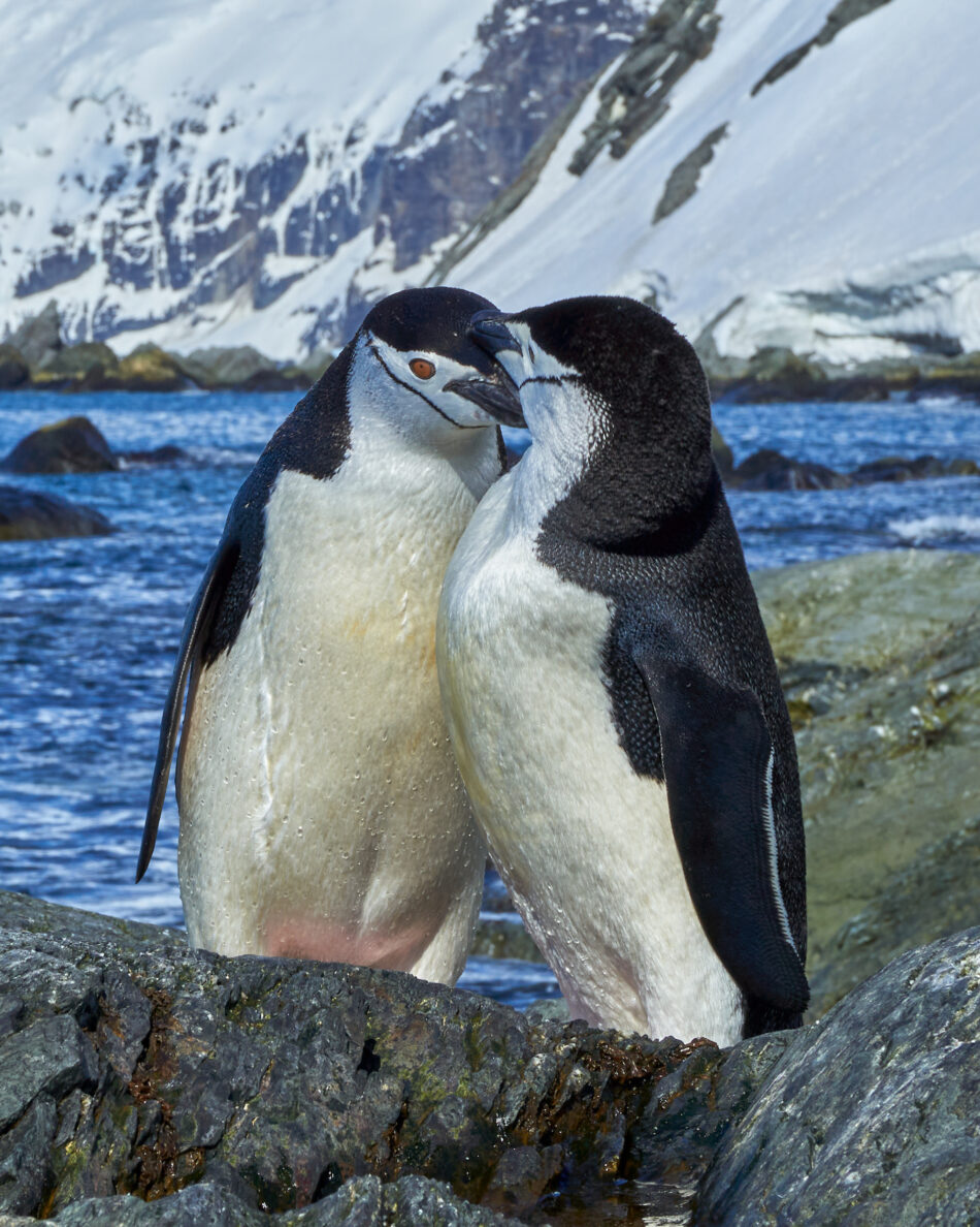 Sunday (29-December-2024) — New Jersey - David Mathre Photography